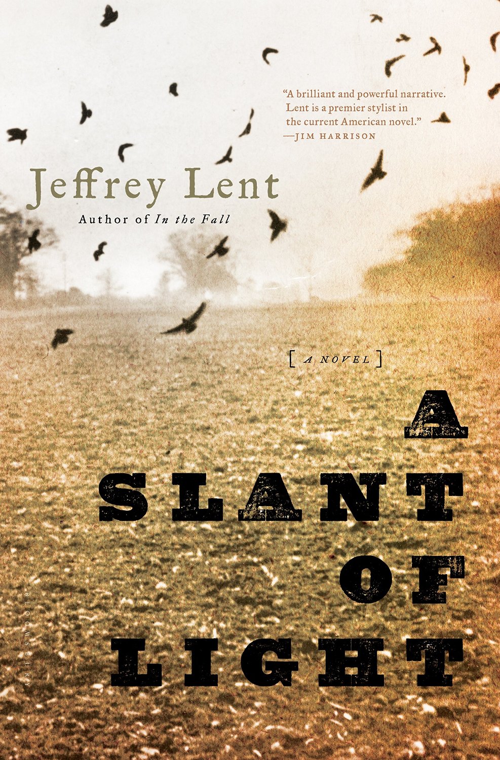 A Slant of Light by Jeffrey Lent – AFPL Journal