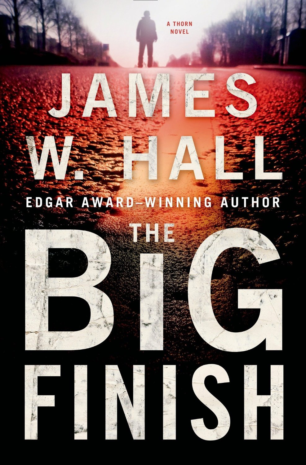 The Big Finish by James W. Hall – AFPL Journal